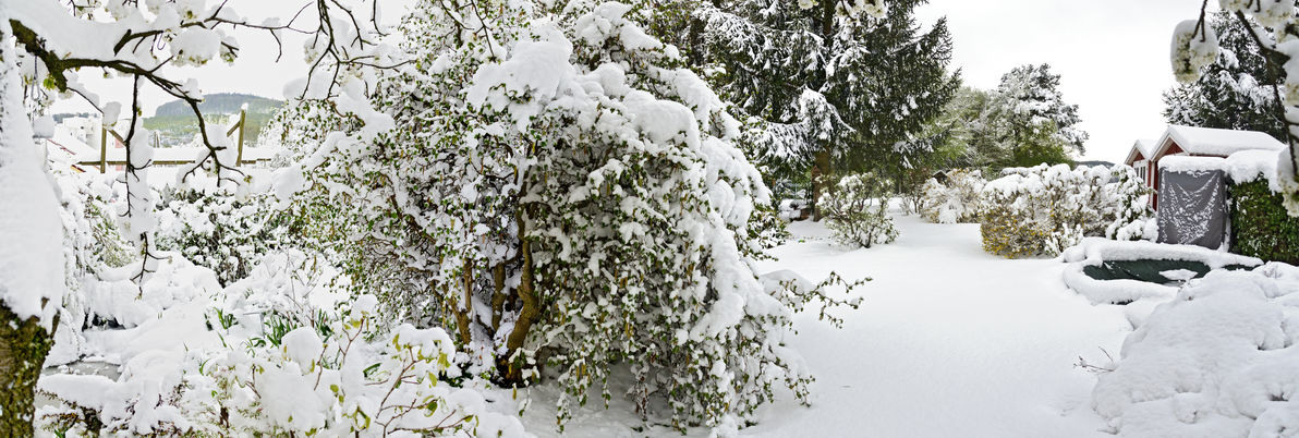 Astuces pour réussir vos photographies par temps froid - Art21